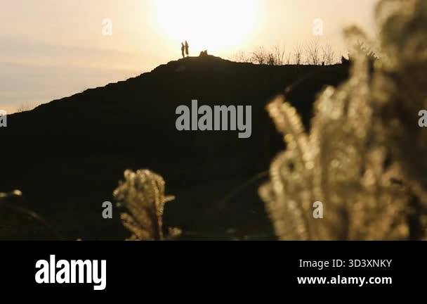 Silhouette of two people on a hill at sunset with golden light. A ...