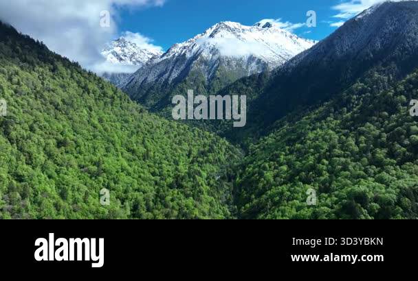 Lush, deep green valley with a stream leading up to majestic snow ...