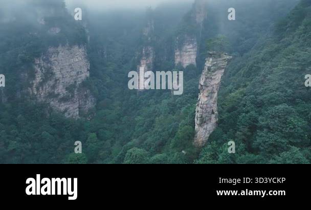 Massive, sheer cliffs and rock pillars rise above a dense green forest ...