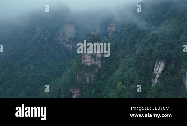 Massive, sheer cliffs and rock pillars rise above a dense green forest ...