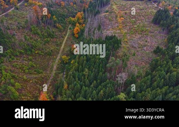 In a lush mountainous area the scene captures the vibrant fall colors ...