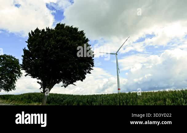 A tall wind turbine towers next to a leafy tree in a green field The ...