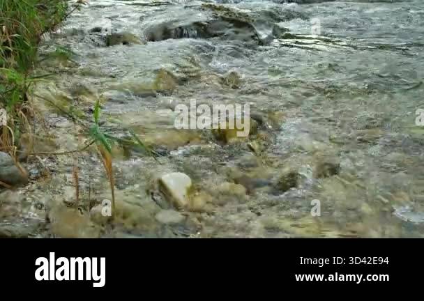 Turbulent Water Flow of Fast River, Slow Motion Nature Scene Stock ...