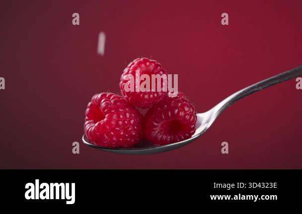 powdered sugar pouring on fresh ripe raspberries in spoon on red ...