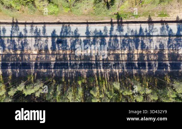 Aerial view of a road with long tree shadows and a car Stock Video ...