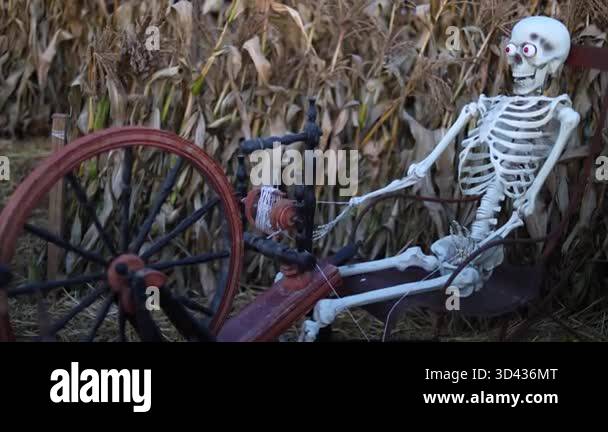 Halloween. Creepy Halloween skeleton standing in the dark with spooky ...