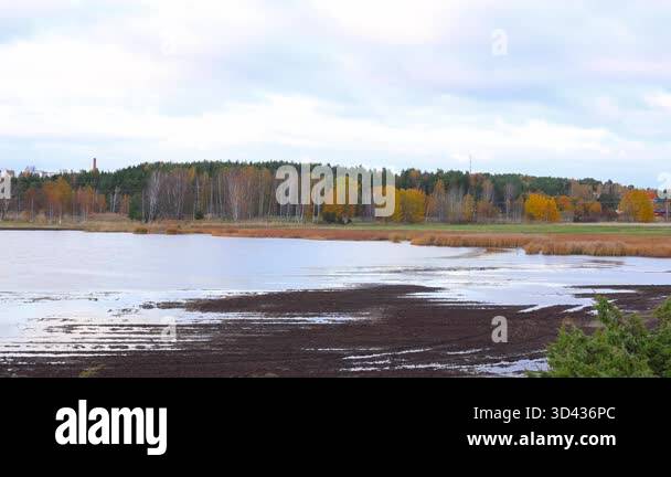 Beautiful natural river flowing through green forest, calm water with ...