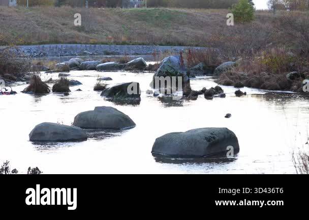 Clear mountain river flowing between rocks and forest trees, gentle ...