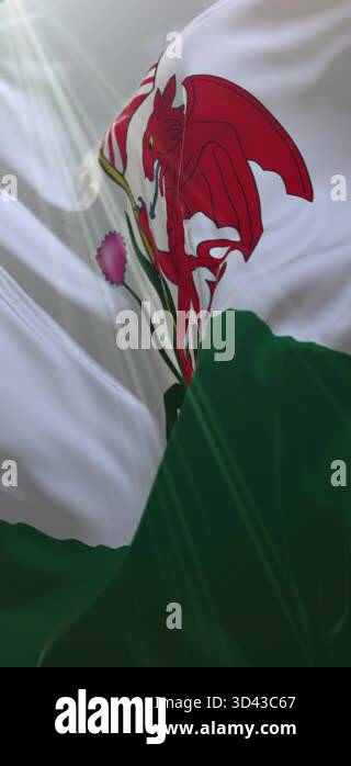 Cardiff city flag Stock Videos & Footage - HD and 4K Video Clips - Alamy