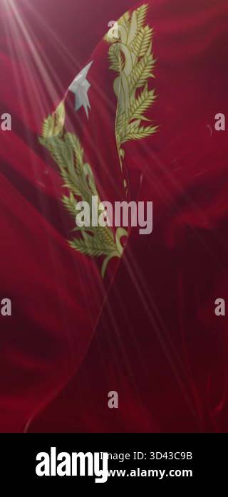 Flag of Campobasso, Italy. 4K Vertical. Loop Stock Video Footage - Alamy