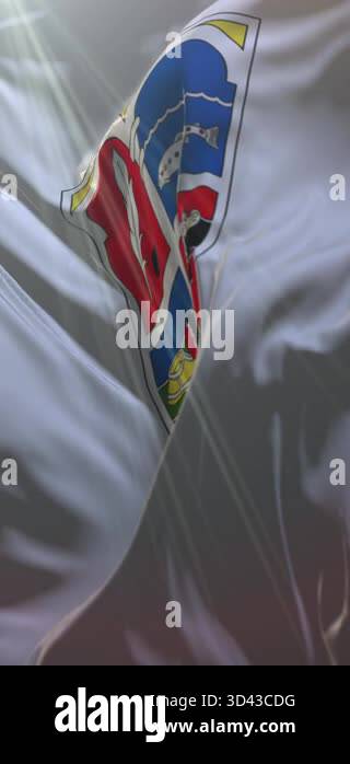 Flag of Korce County, Albania. Loop. 4K Vertical Stock Video Footage ...