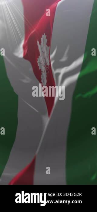 Boyaca Department Flag, Colombia. Loop. 4K Vertical Stock Video Footage ...