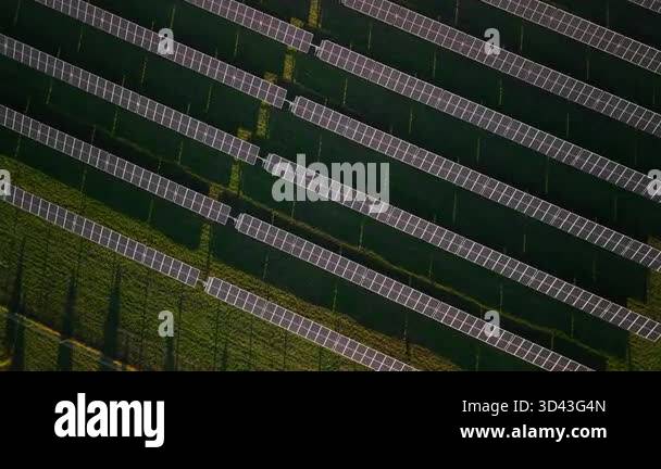 Aerial view of solar power panels in rows during sunset, producing ...
