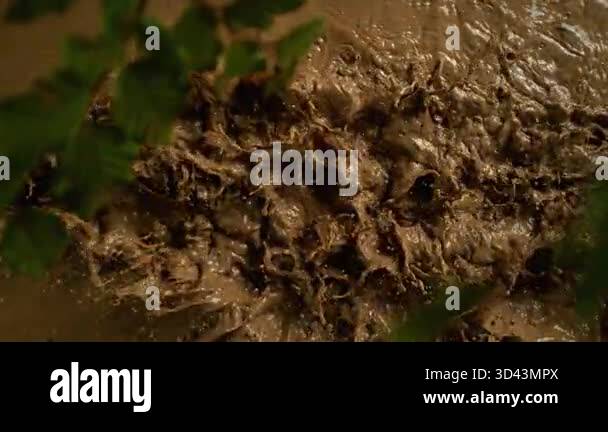 Super Slow Motion Shot of Mud Splashing , Top Shot , Filmed on High ...