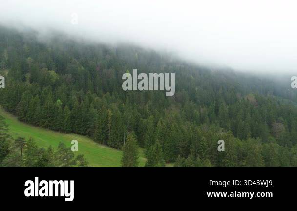 Foggy mountain landscape with green meadows at sunrise Stock Video ...