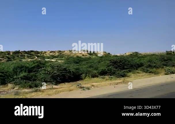 Scrub land plants Stock Videos & Footage - HD and 4K Video Clips - Alamy