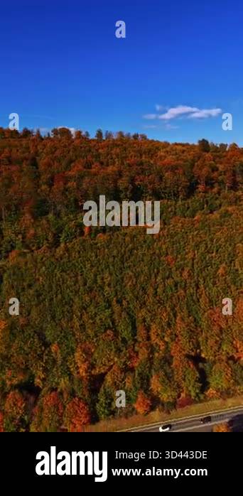 Stunning fall foliage lights up the hillside with shades of orange and ...