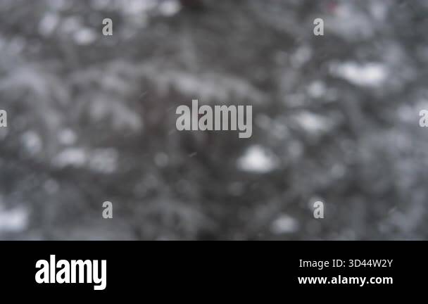 Snow falling outside in winter, blurred background. Slow motion Stock ...