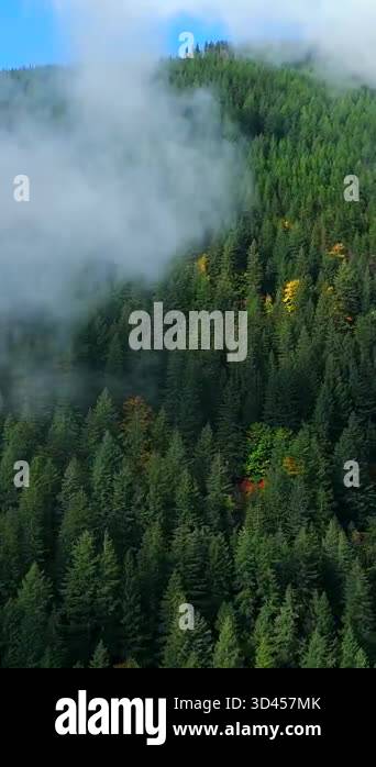 Stunning autumn landscape in Canada, British Columbia . Aerial view of ...