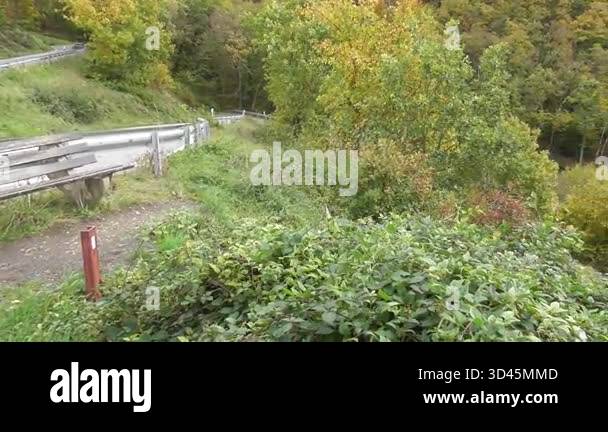 serpentine road from Mosel to Hunrueck in autumn colors with a bike ...