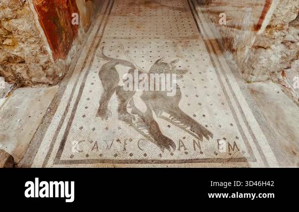 Dog pompeii Stock Videos & Footage - HD and 4K Video Clips - Alamy