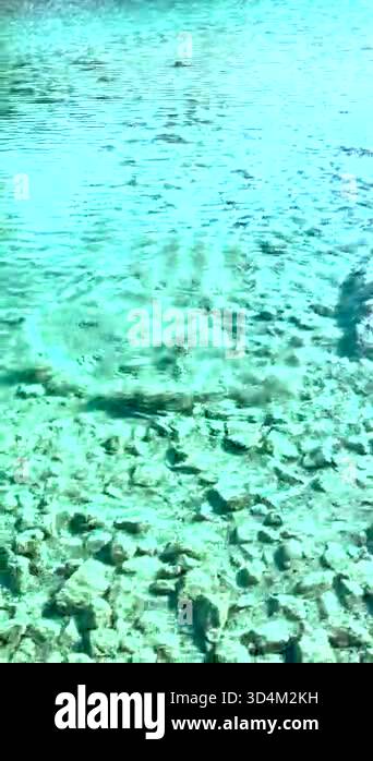 Bottom area features Stock Videos & Footage - HD and 4K Video Clips - Alamy