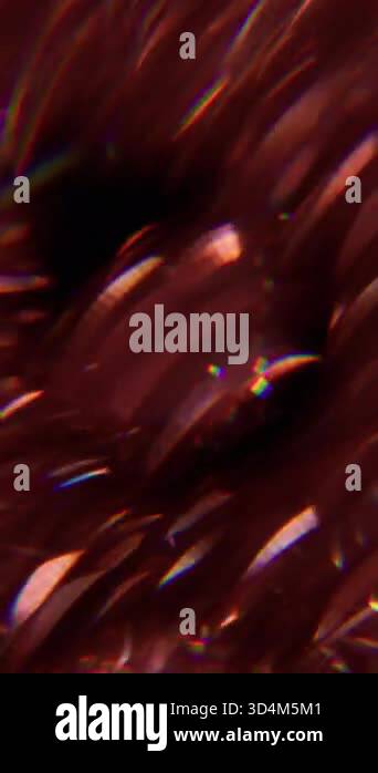 Vertical video. Rainbow flicker. Blur glow light. Defocused bronze ...