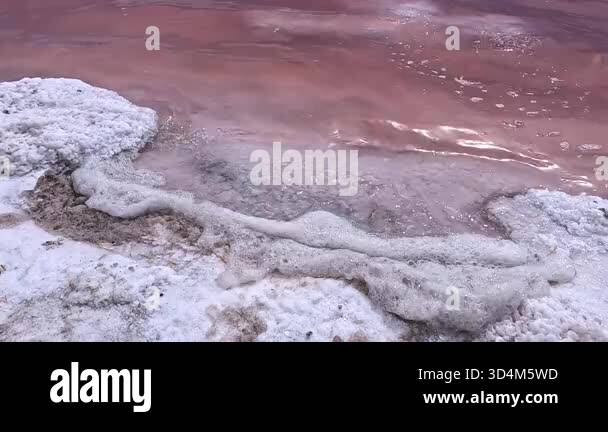 Kuialnyk Estuary, salt Sodium chloride crystallized on the bottom of a ...
