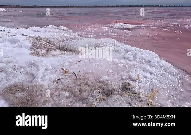 Kuialnyk Estuary, salt Sodium chloride crystallized on the bottom of a ...