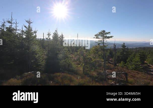 Autumn landscape and vegetation on Dreisessel mountain in Bavarian ...