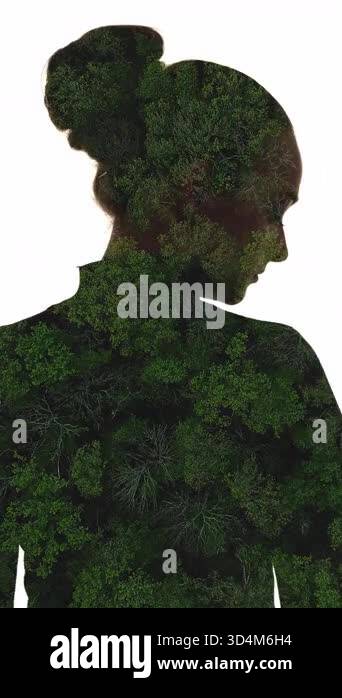 Vertical video. Nature silhouette. Forest conservation. Green trees ...