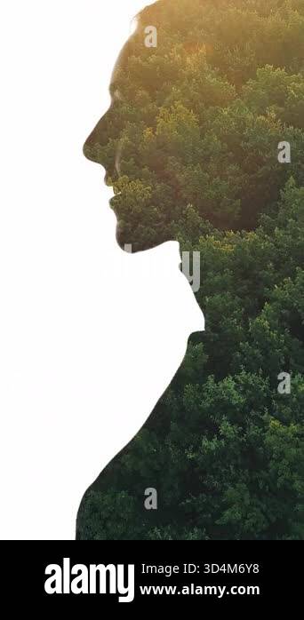 Vertical video. Nature inspiration. Environmental protection. Aerial ...