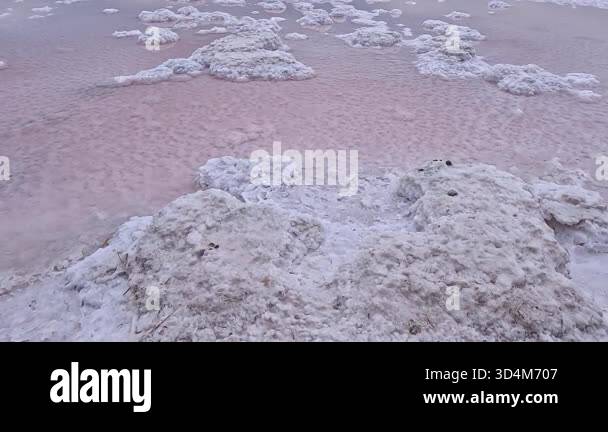 Kuialnyk Estuary, salt Sodium chloride crystallized on the bottom of a ...