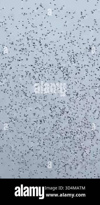 Group of Insects Fly in the Sky. Vertical Footage Stock Video Footage ...