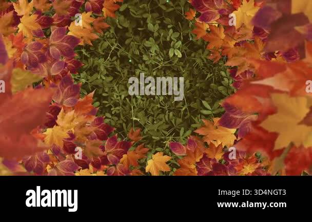 A beautiful transition of colorful autumn leaves moving to reveal a ...