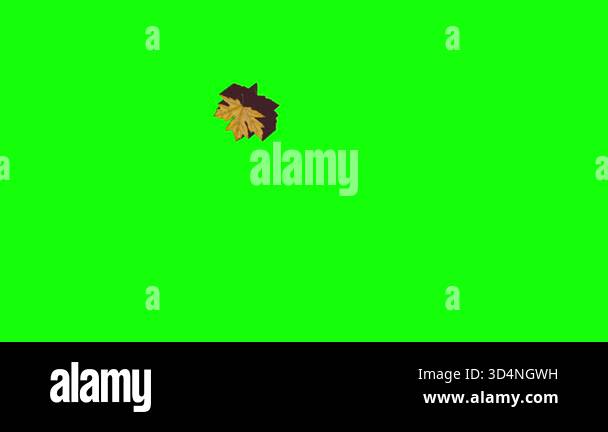 Animated autumn leaves falling and a Thanksgiving pumpkin appear on a ...