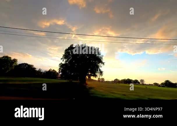 Country landscape with tree, Silhouette of oak during sunset, Dramatic ...