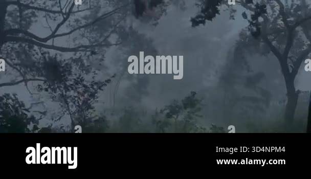 The atmosphere of heavy rain accompanied by strong winds in the forest ...