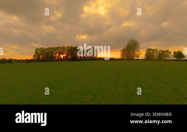Sunset shining through trees over green agricultural field under cloudy ...