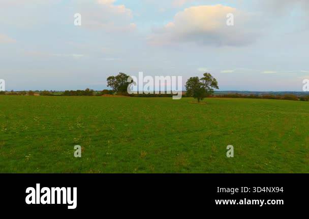 Peaceful agricultural meadow stretching under evening sky with ...