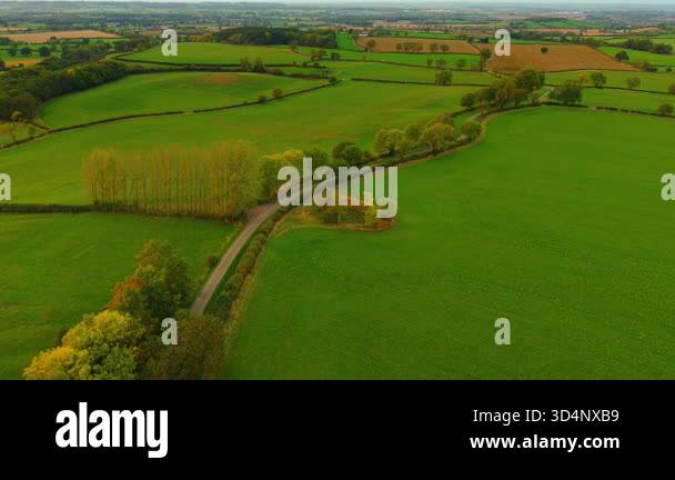 Winding road crossing green agricultural fields surrounded by trees and ...