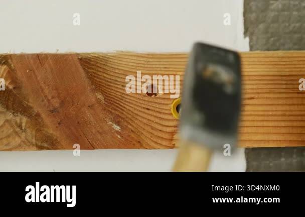 Nail in plank hammer Stock Videos & Footage - HD and 4K Video Clips - Alamy