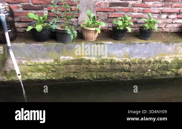 An artificial fish pond with water flowing from a filter pipe and ...