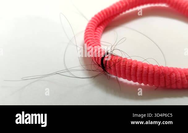 Closeup of a pink hair tie on a white background, with strands of hair ...