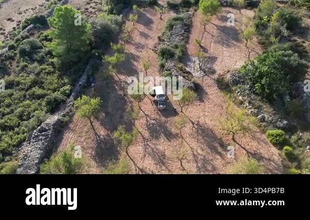 Farmers working together to harvest almonds on a terraced field nestled ...