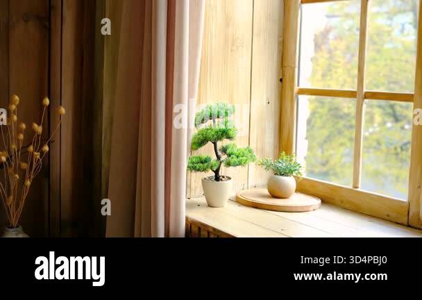 Green bonsai and small plant on wooden windowsill next to window with ...