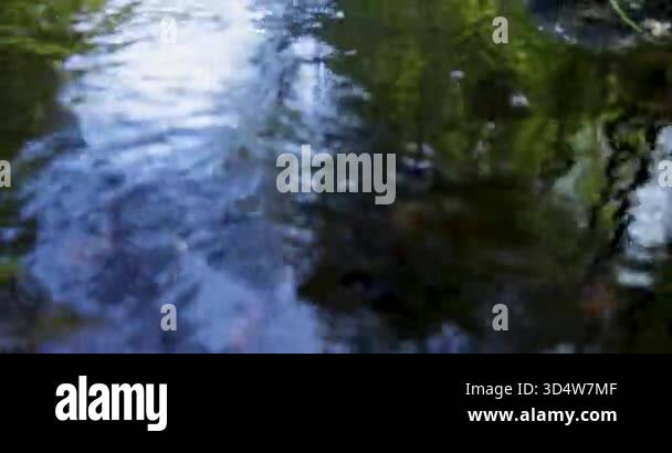 A stream with moss growing on the rocks in a forest. The water is ...
