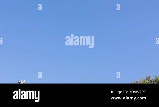 A church steeple with a bell tower. The sky is clear and blue. The ...