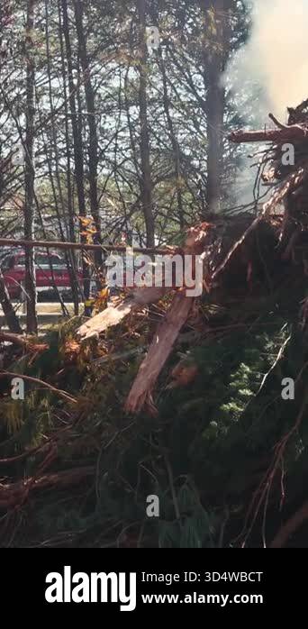 Fire debris cleanup Stock Videos & Footage - HD and 4K Video Clips - Alamy