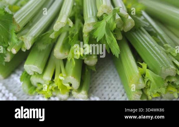 Fresh green organic celery stalks with leaves rotating on a textured ...